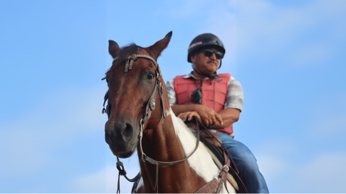 Live Racing | Retama Park