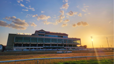 Horse Racing | Retama Park