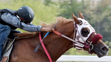 Racing news | Retama Park